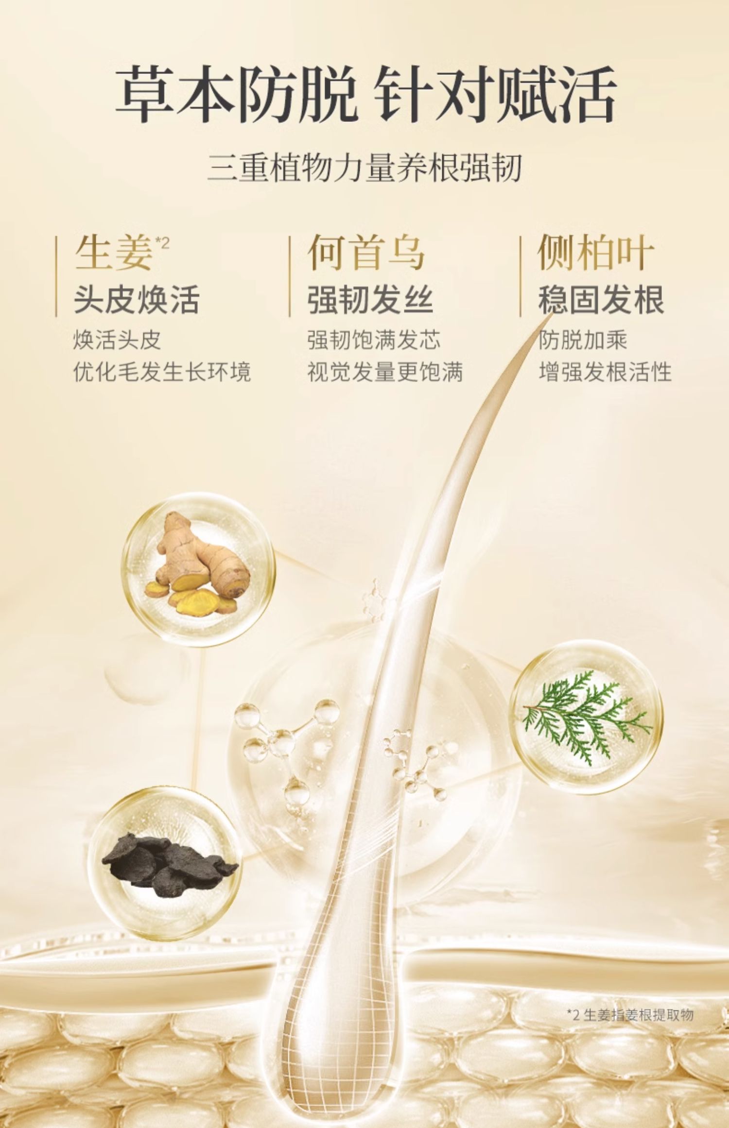 阿道夫生姜洗发水/护发素防脱固发 Adolph Ginger Shampoo/Conditioner 300ml | Shopee Malaysia