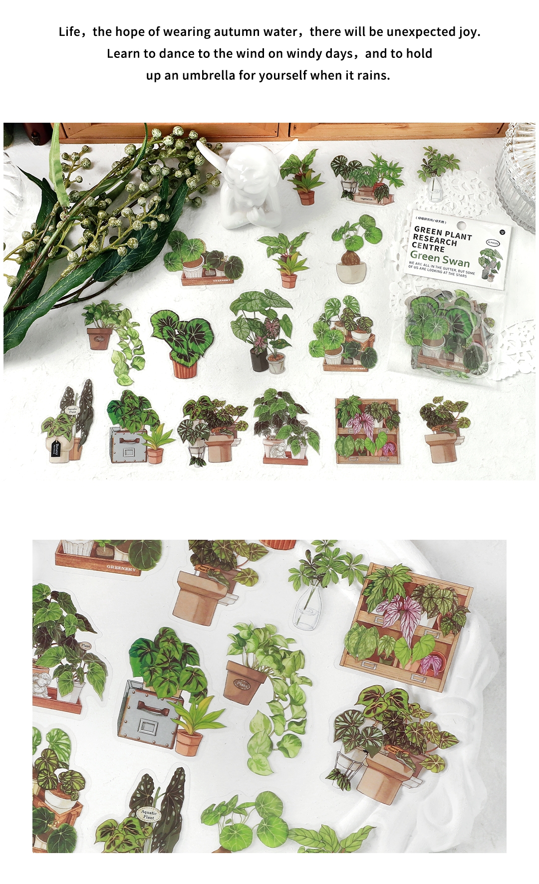 IFM INS Green Plant Research Centre Series Deco Stickers Botanical ...