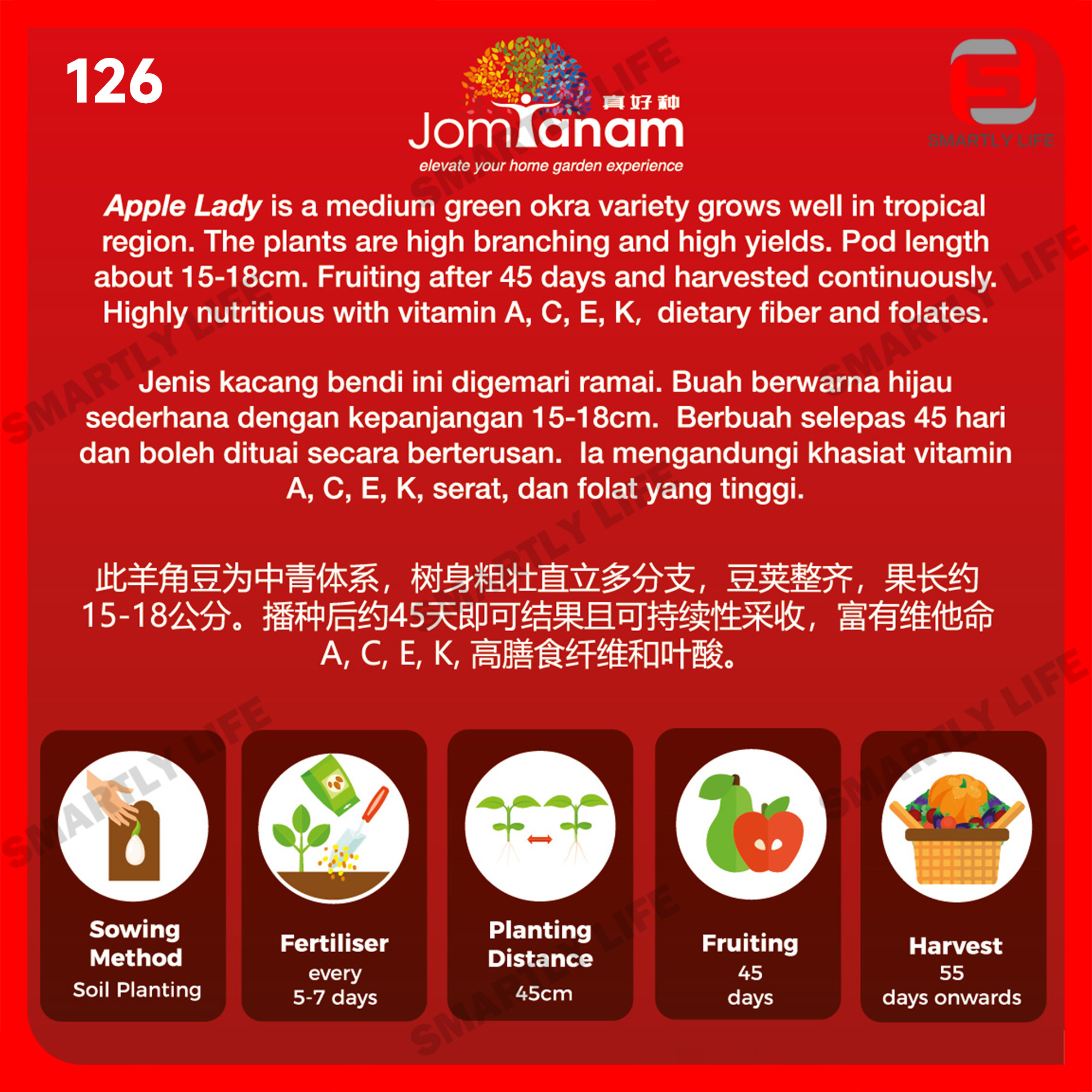 Okra Medium Green Apple Lady Benih Bendi 中青秋葵 Jom Tanam Seeds 种子 JT-126 ...