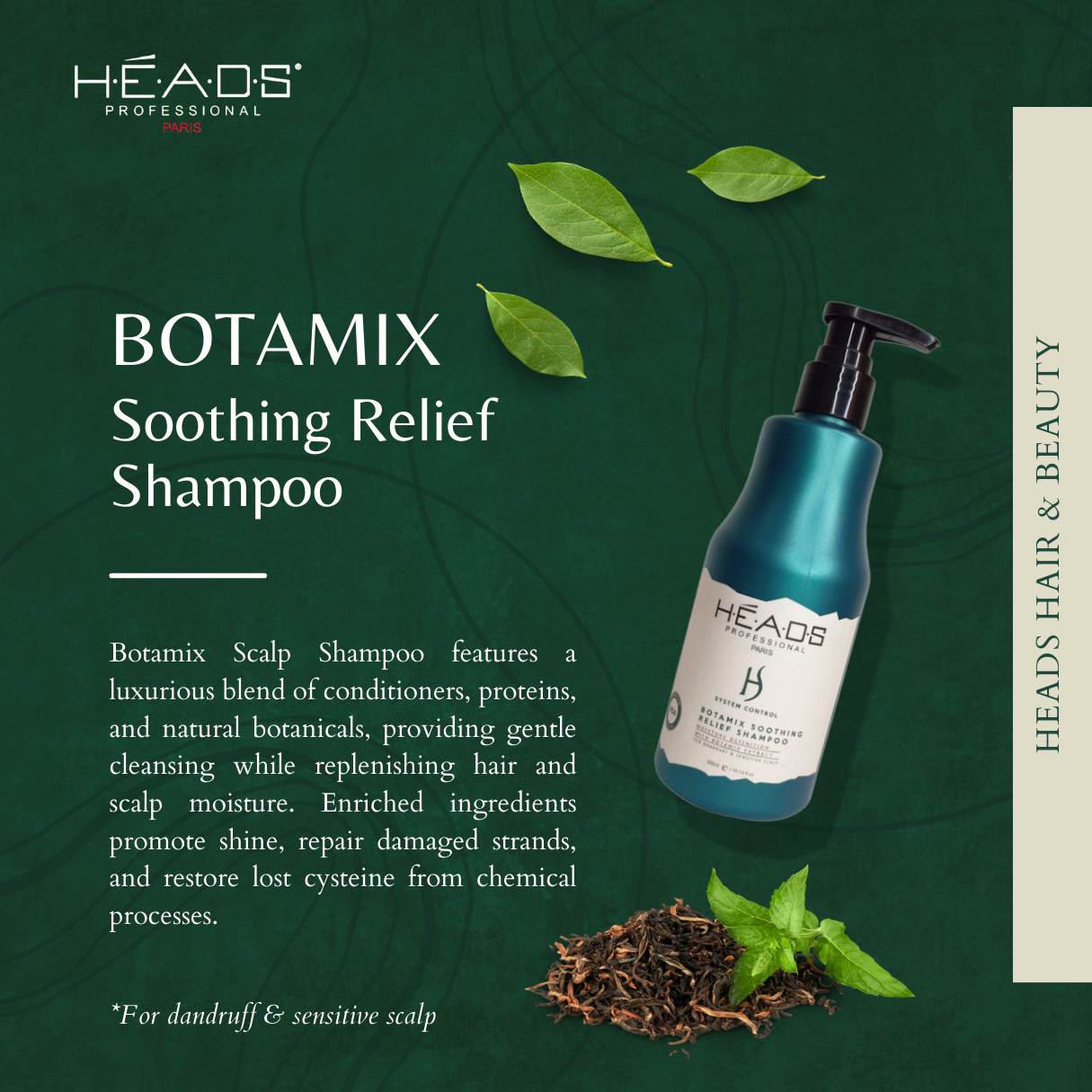 HEADS Botamix Shampoo Set for Hair Loss Dandruff Dry Repair Damage Oily ...