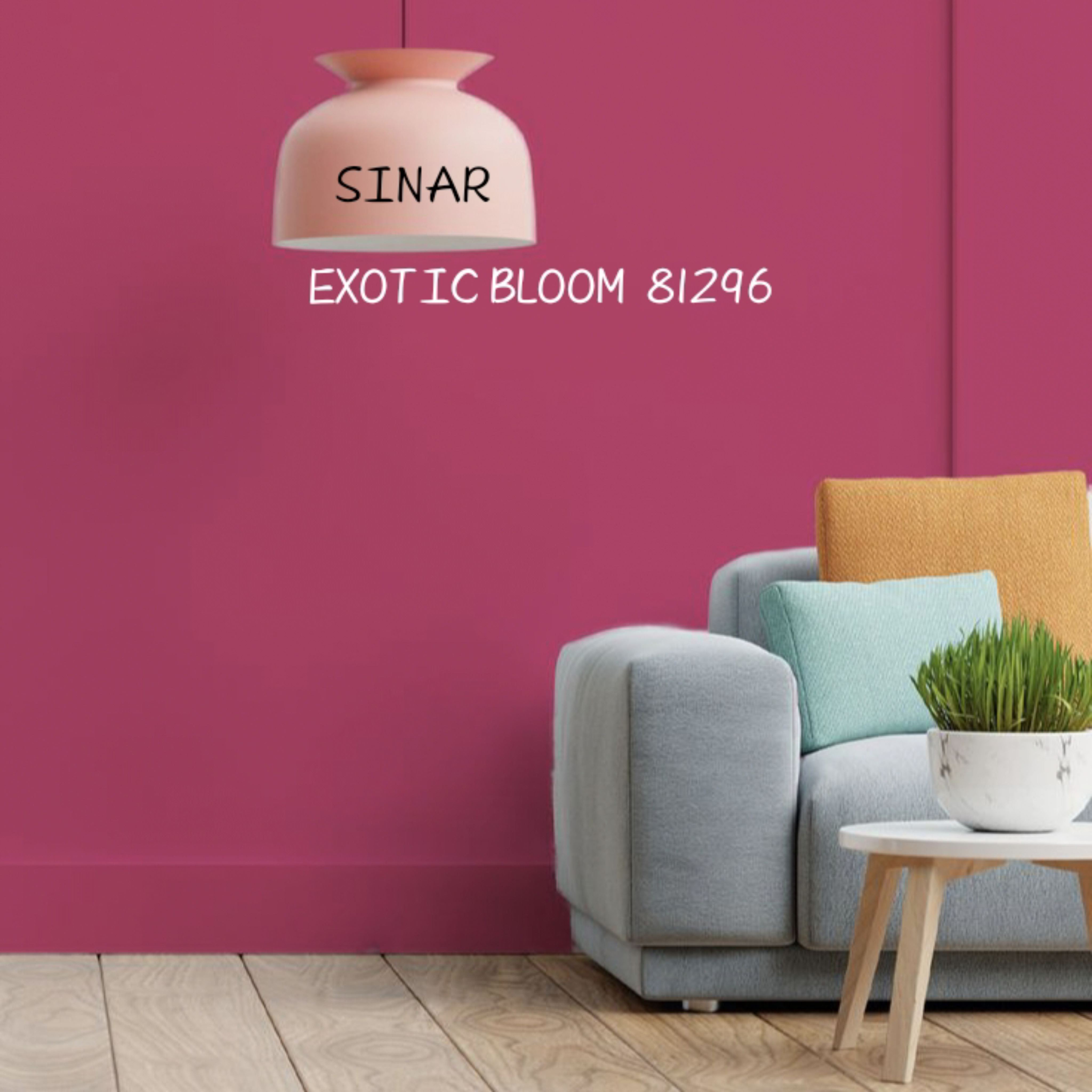 SINAR KCC 5 LITER KOREVER PURE EXTERIOR WALL PAINT 5 YEARS CAT DINDING ...