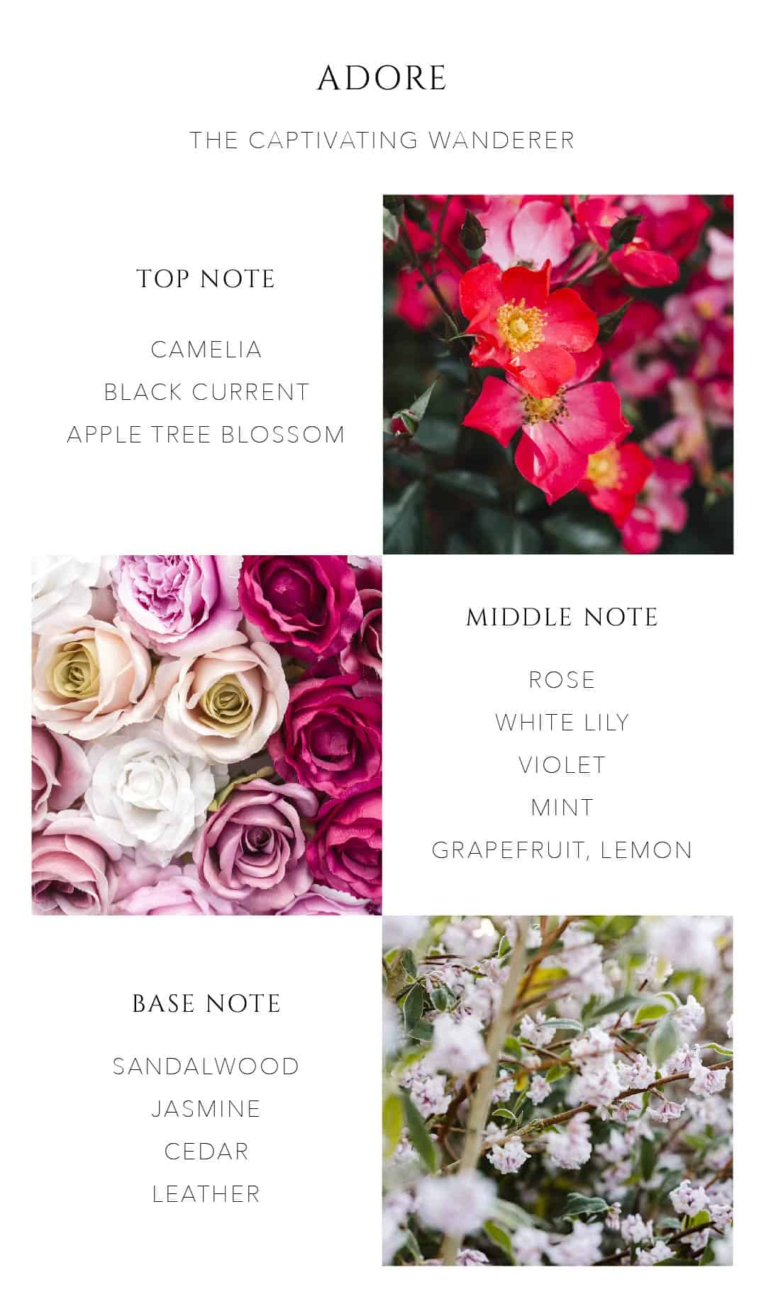 Isabella Signature - Adore (Her) EDP 40ml | Shopee Malaysia