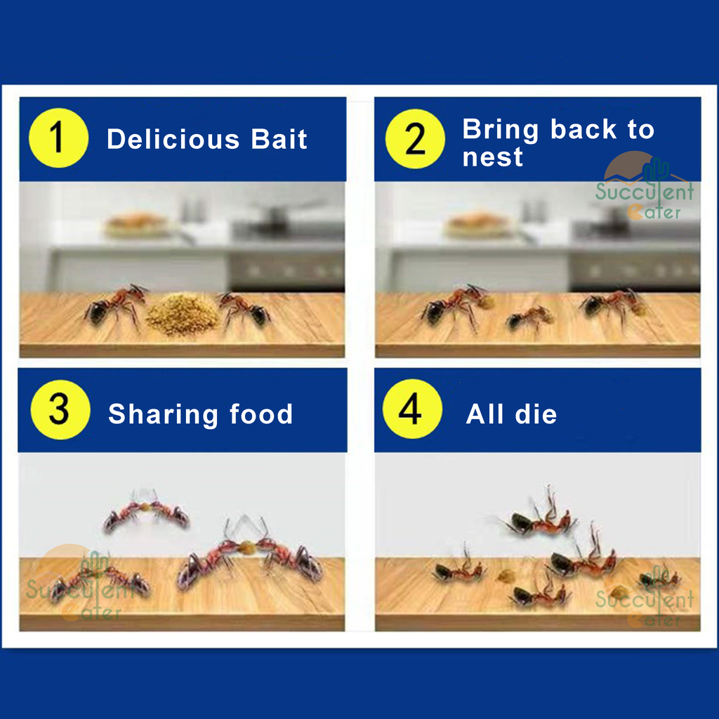 Red Fire Ant Insect Bait Ubat Racun Semut Api Merah 红蚁红火蚁杀饵剂 | Shopee ...