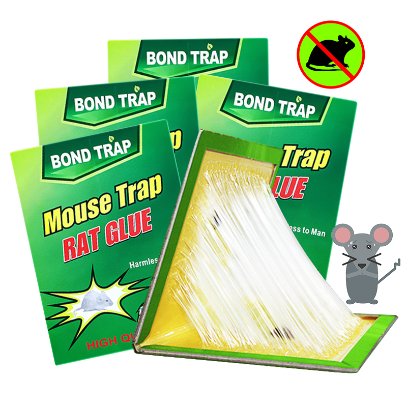 🐭5PCS Super Mouse Trap Catcher Trap Perangkap Tikus Gam Tikus Rat ...