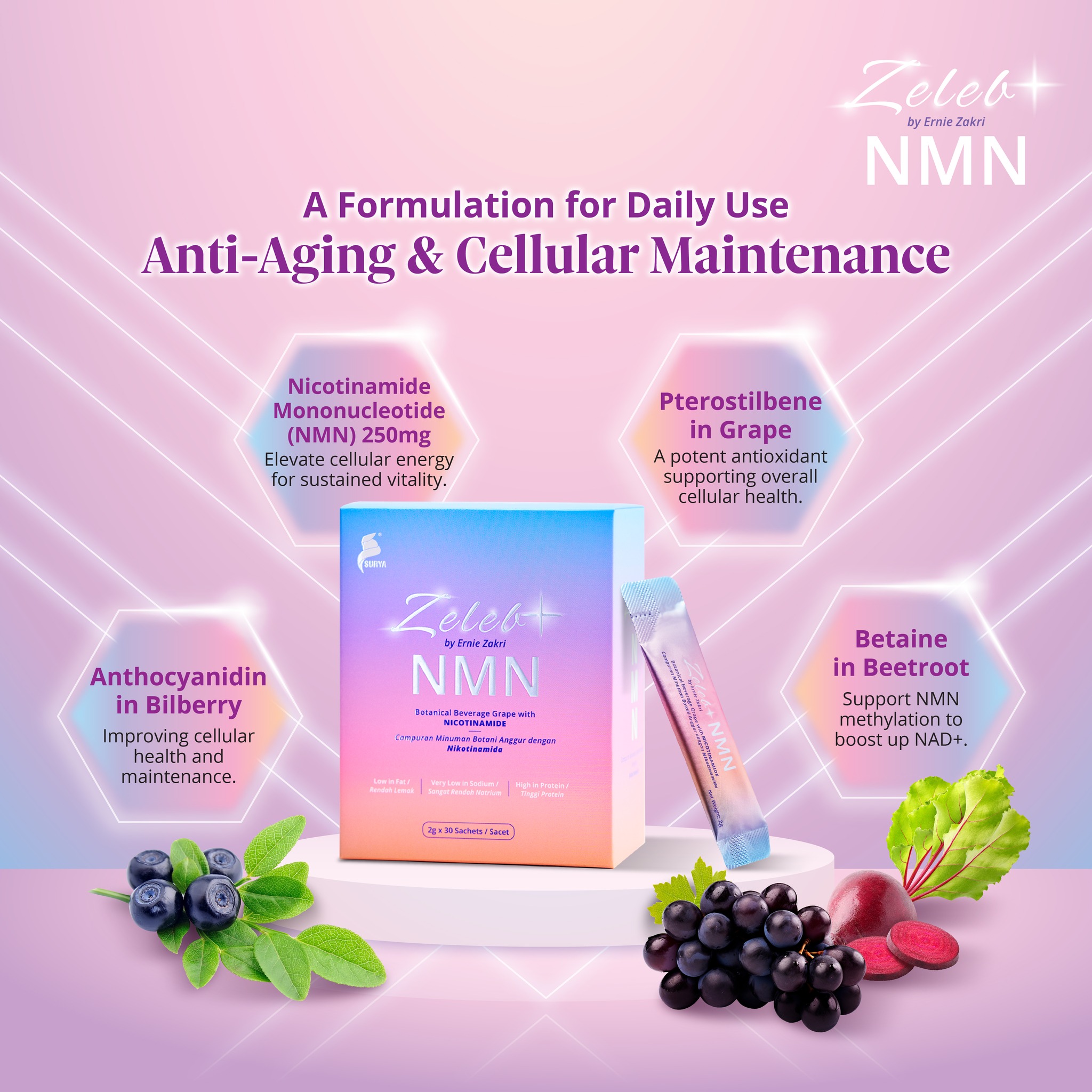 Zeleb+ NMN (7/14/30 Sachets) 250mg of 99% Pure NMN (For Elevate Energy, Slow Down Aging, Improve ...