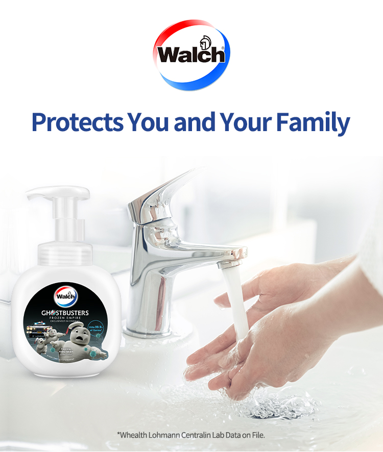 Walch Foaming Hand Wash Frozen Ice 290ml - Limited Edition | Shopee ...