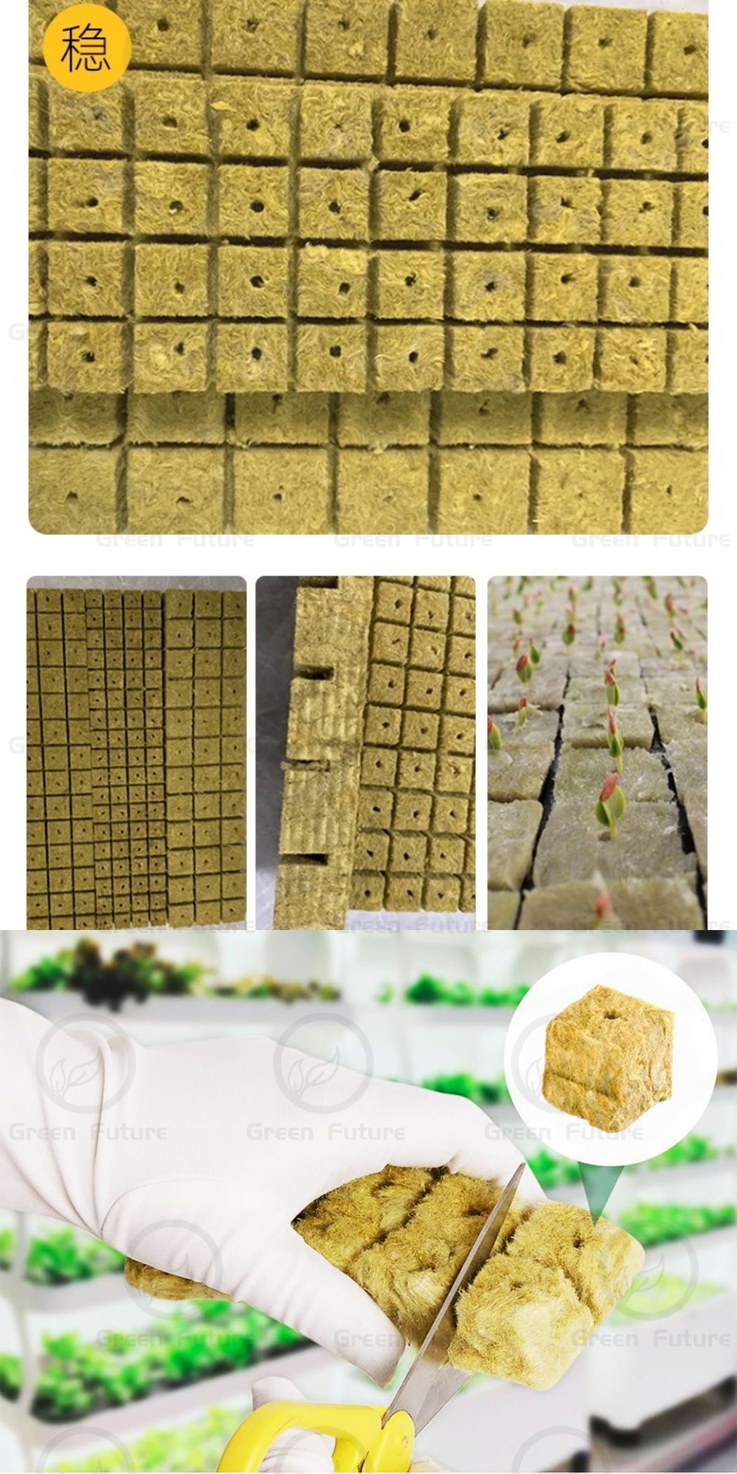 Rockwool Hydroponic Aquaponic Seed Germination Rock Wool Semai Benih ...