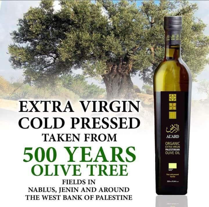 ALARD Al Ard Palestinian Organic Premium Extra Virgin Olive Oil Minyak ...