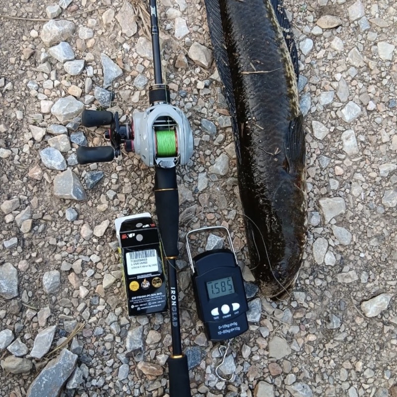 2024 New EXP IRONCLAD Baitcast & Spinning Fishing Rod BC Baitcasting ...