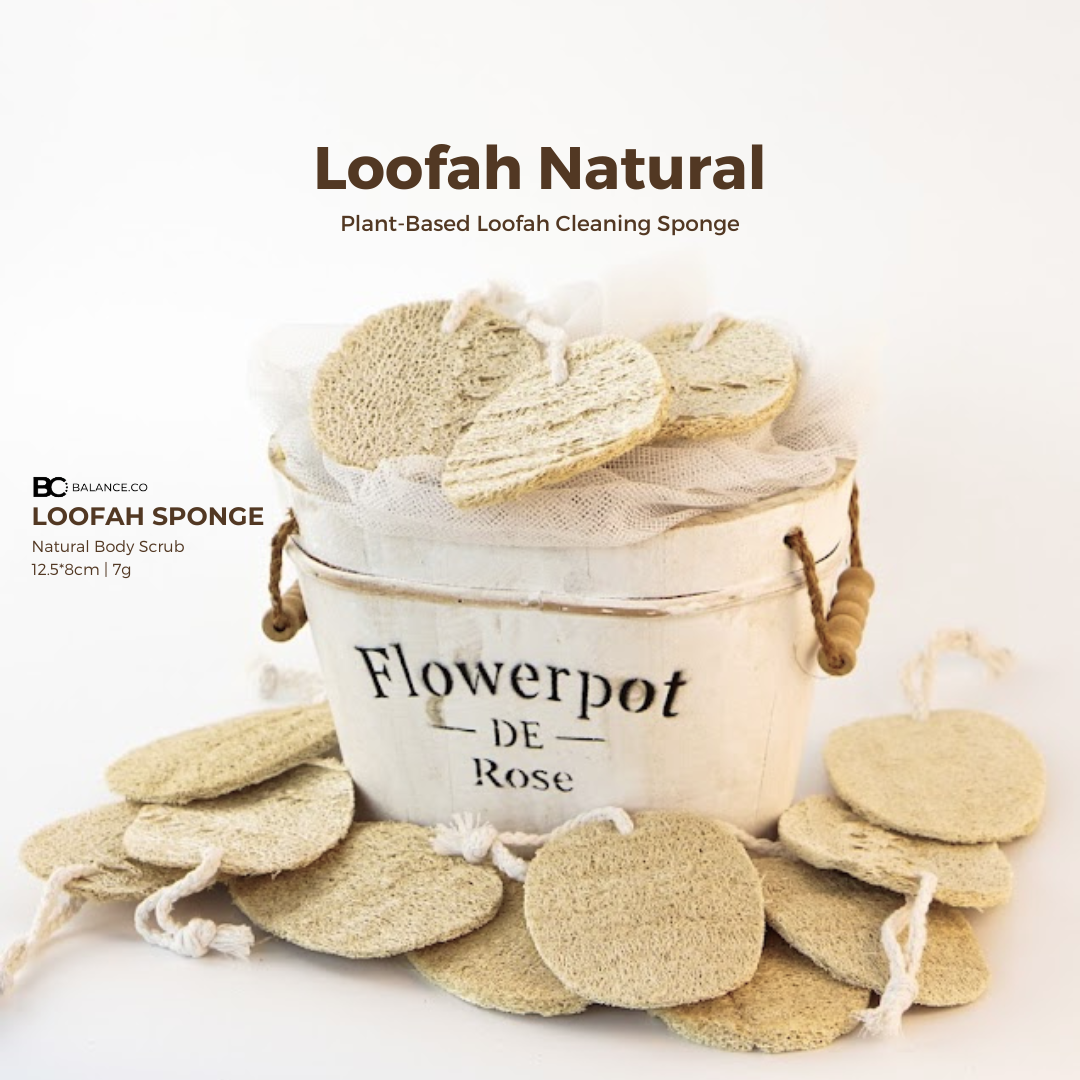 Natural Loofah Cleaning Sponge Dishwashing Hanging String Scouring Dish ...
