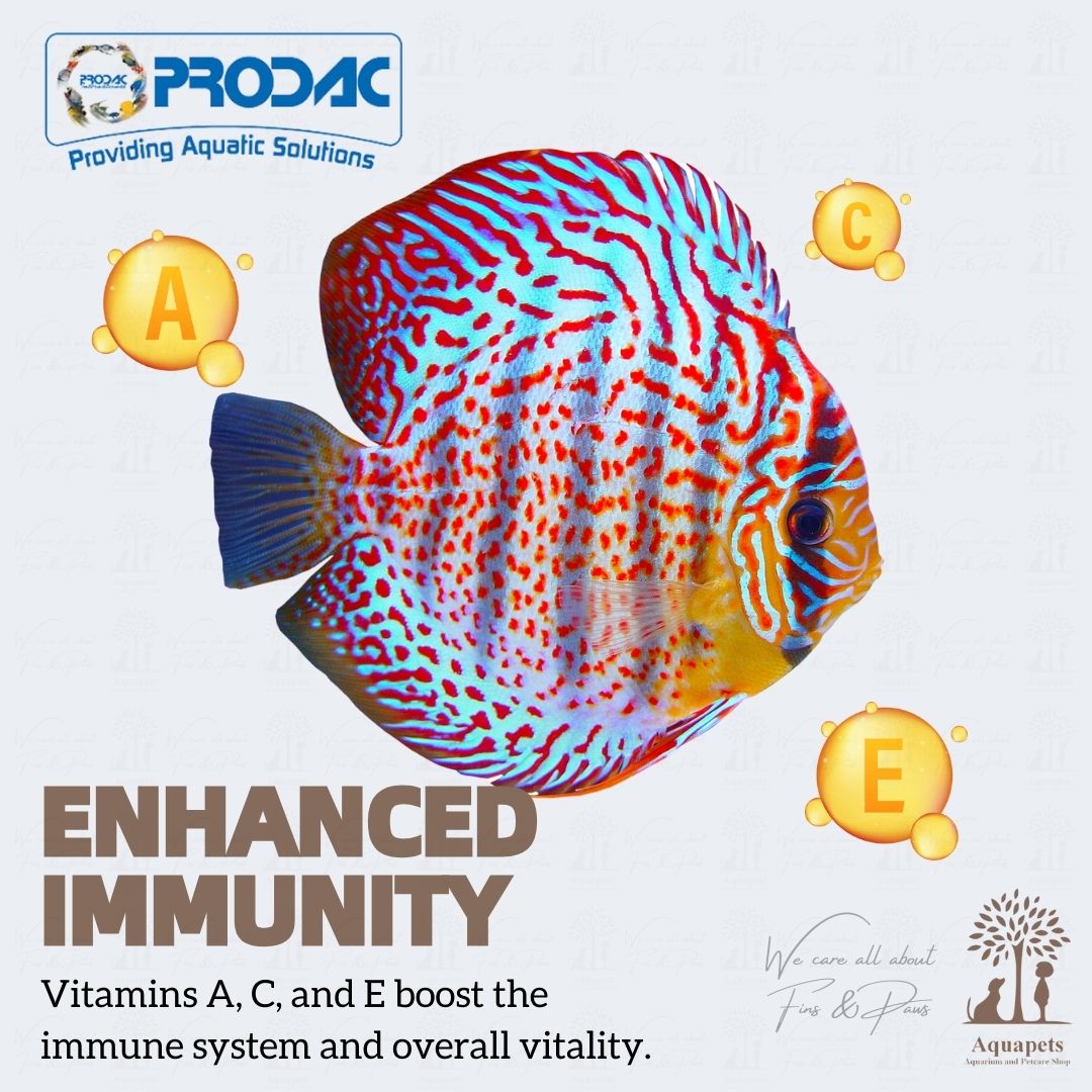 PRODAC Pro Bits + Canthaxanthin -1200mL (500g) Discus Fish Food Makanan ...