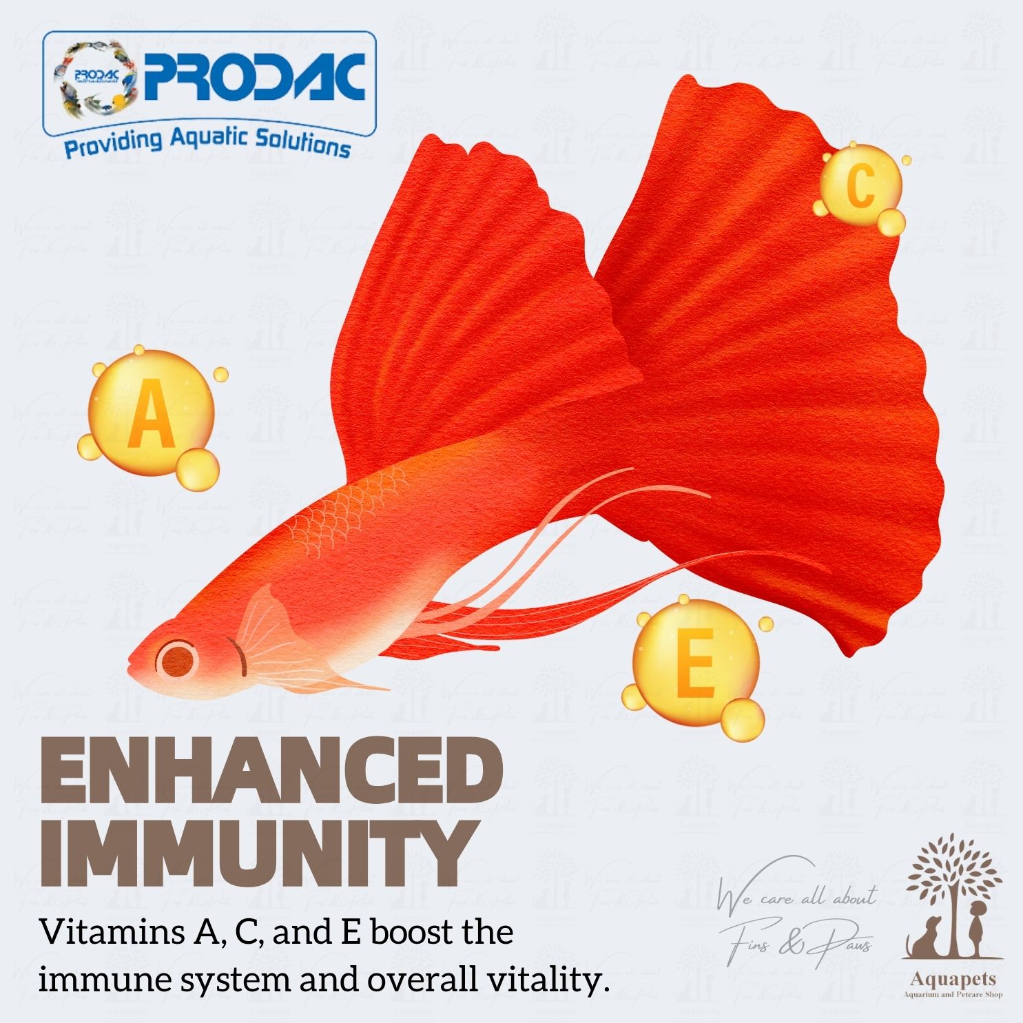 PRODAC Tropical Fish Flakes 250mL (50g) Tropical Fish Food Makana Ikan ...