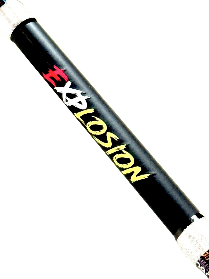 EXP EXPLOSION 9th ANNIVERSARY SPINNING/ BAITCASTING(BC) FISHING ROD ...