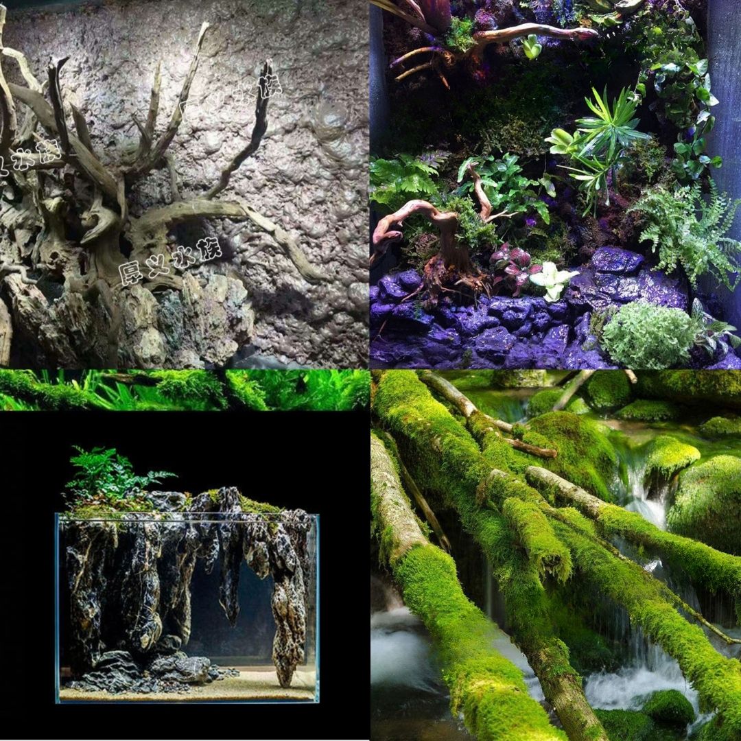 Houyi Adhesive Spray Foam 900g Aquascape Landscape Vivarium Paludarium ...