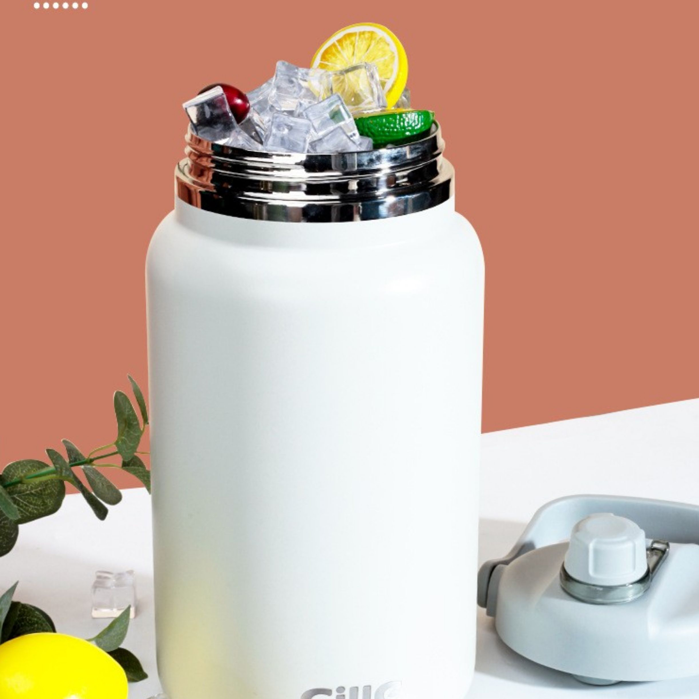 Cille Dodge 3L/4.6L 304SS Super Big Bucket Stainless Steel Vacuum Flask ...