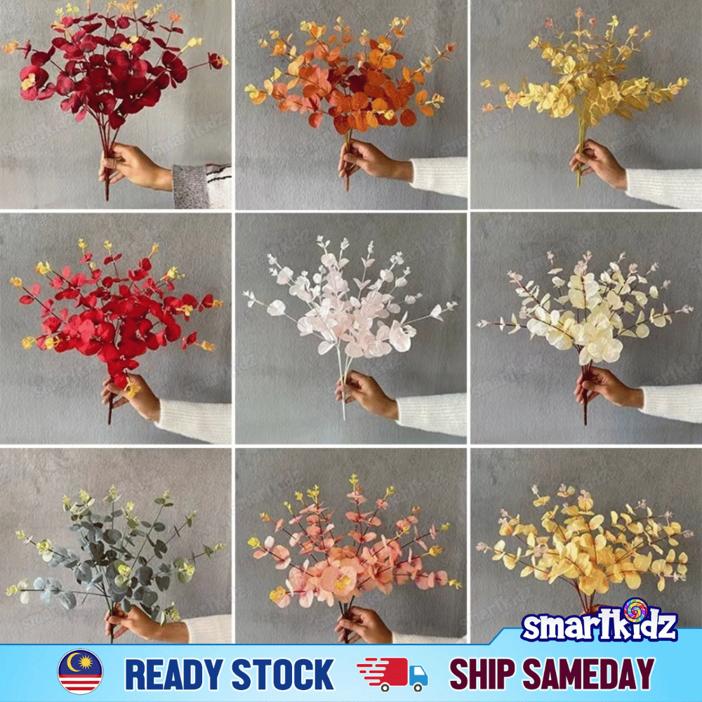 [1stalk] 16 Heads Eucalyptus Money Leaf | Duit Daun Hiasan Rumah ...