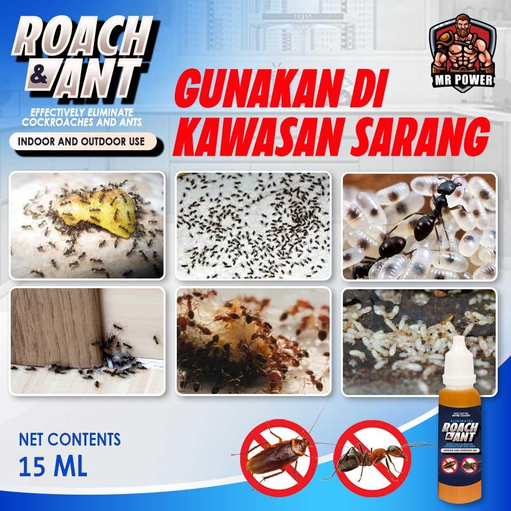 Mr Power Roach & Ant Umpan (15ML) Semut & Lipas Cockroach & Ant bait ...