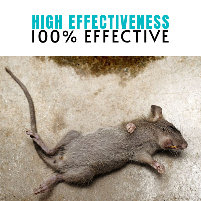 Mouse Bait Pellet Rat Mice Repellent Repel Pest Control Ubat Umpan ...