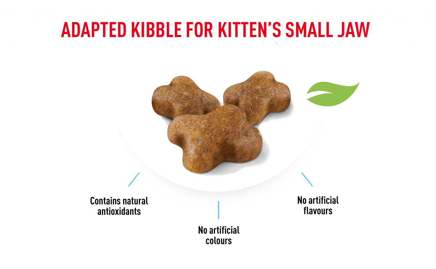 Royal Canin Kitten 4KG Dry Cat Food | 皇家离乳期幼猫全价猫干粮 | Shopee Malaysia