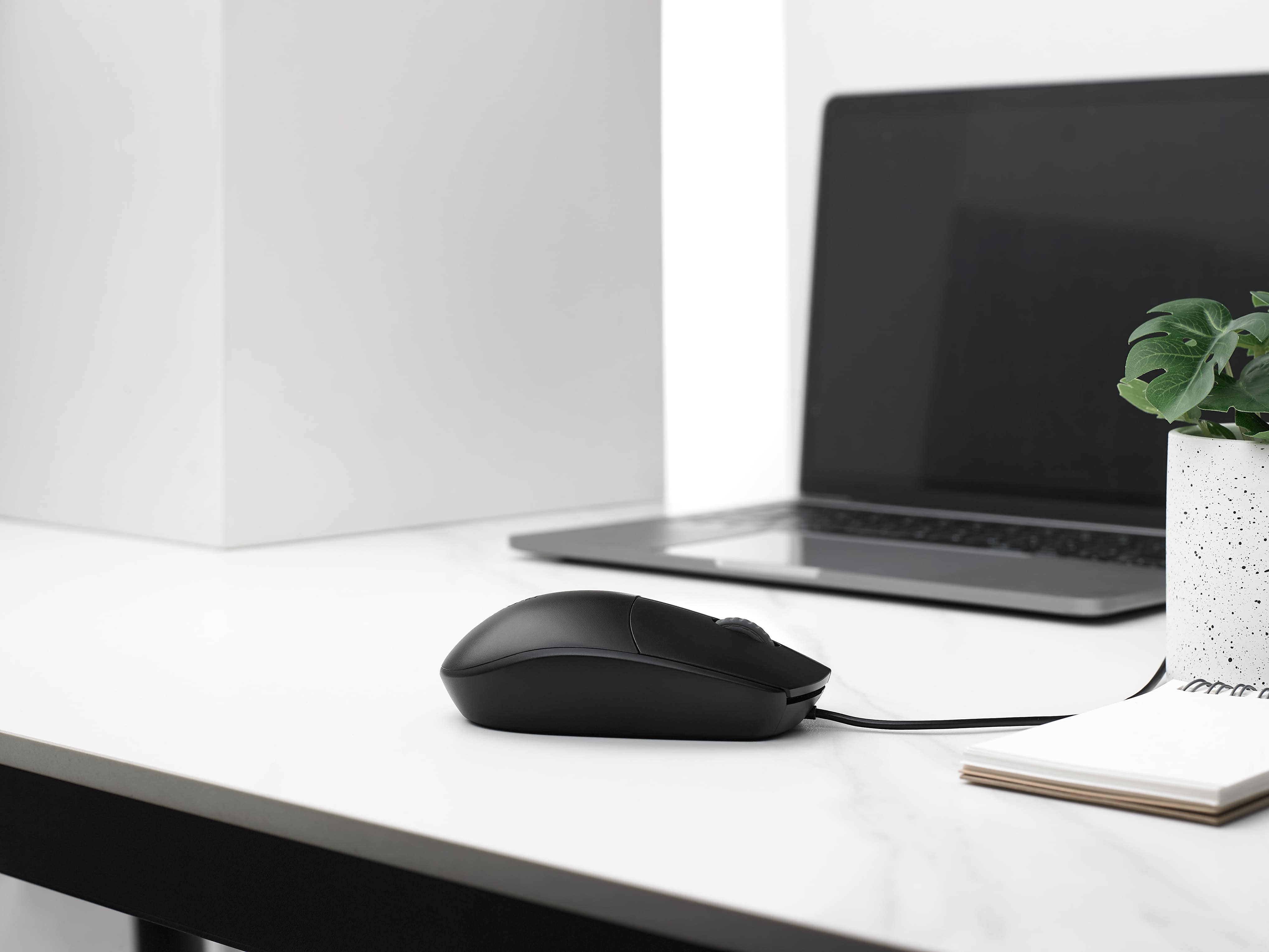 Rapoo N100C Type-C Wired Optical 1000 DPI Mouse - 3 Years Warranty ...