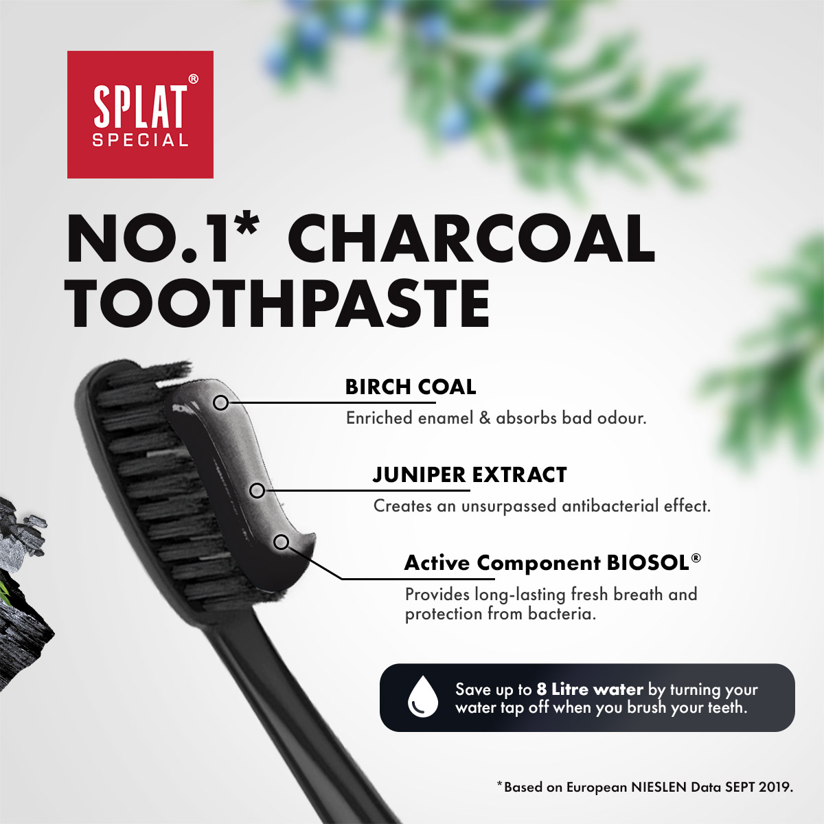 SPLAT Special Blackwood Charcoal Toothpaste, For Sensitive teeth, Fresh ...