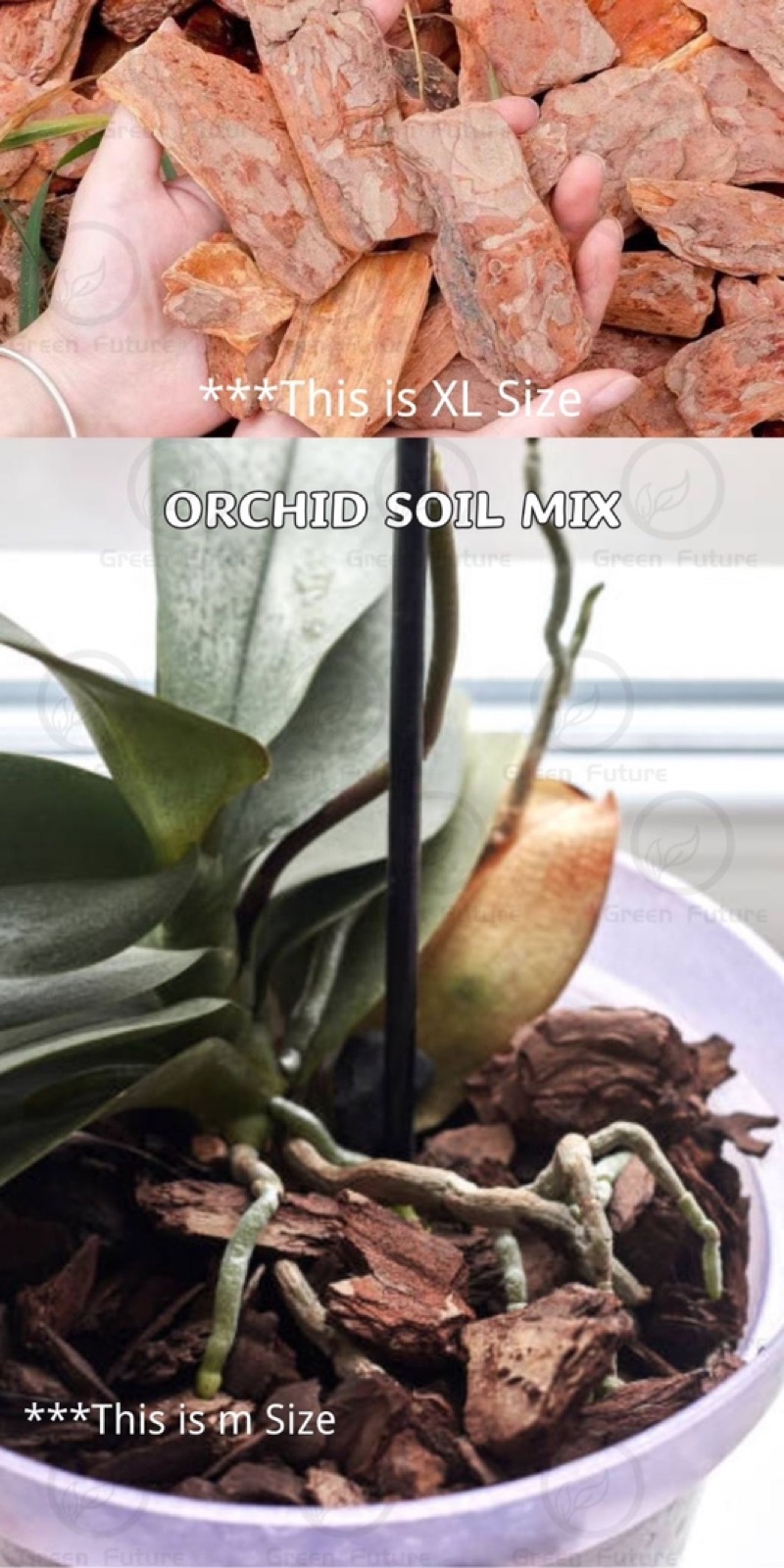 1 KG L size PINE BARK/ Pine scale Orchid potting Pine Bark MURCH ...