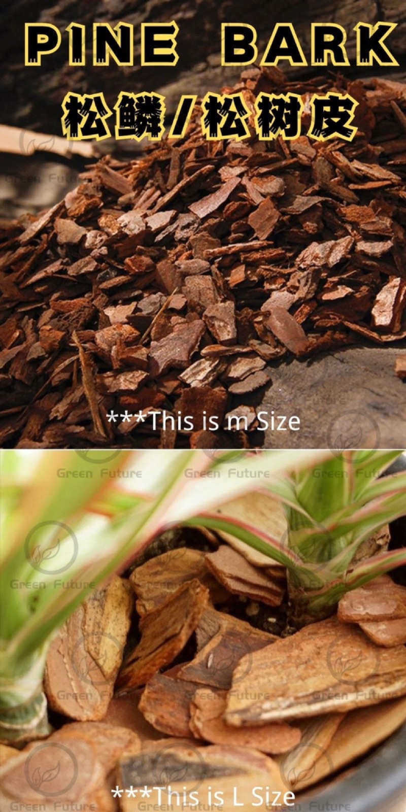 1 KG L size PINE BARK/ Pine scale Orchid potting Pine Bark MURCH ...