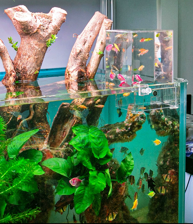 Negative Pressure Fish Elevator Tank 鱼缸负压缸 Akuarium Lif Ikan Tank ...