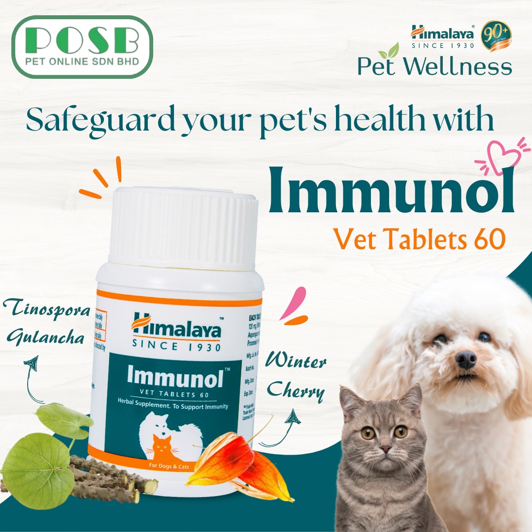 Himalaya Immunol Vet Tablets 60 for Cats and Dogs / Tablet Immunol Vet ...