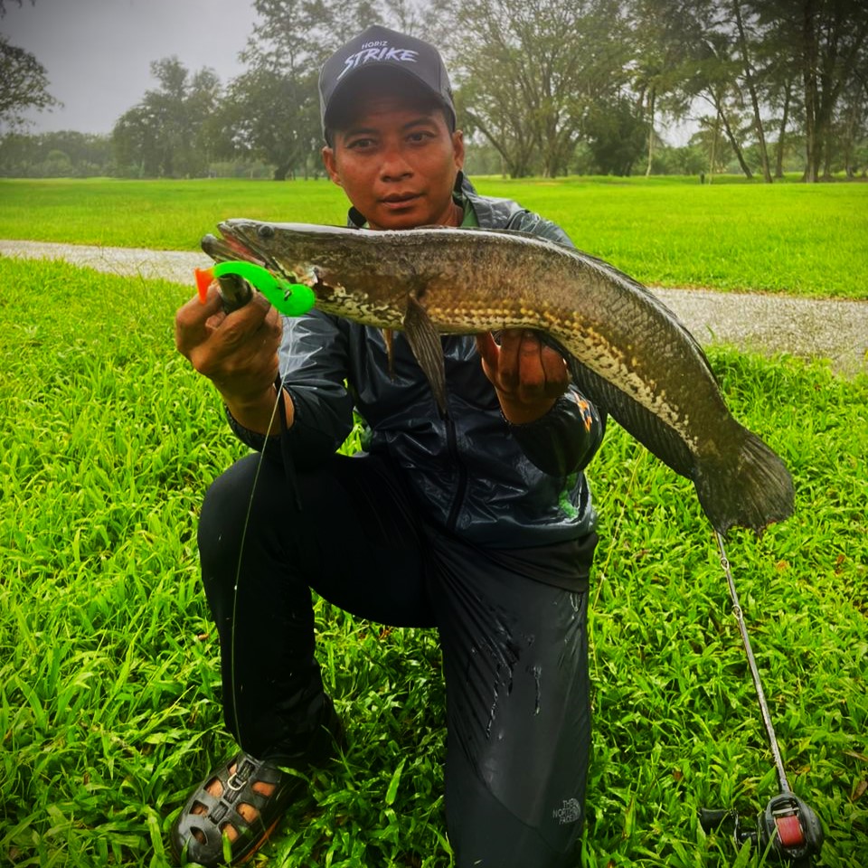 Exp Dominator Soft Plastic SP Lure Set (8cm/12cm) | Shopee Malaysia