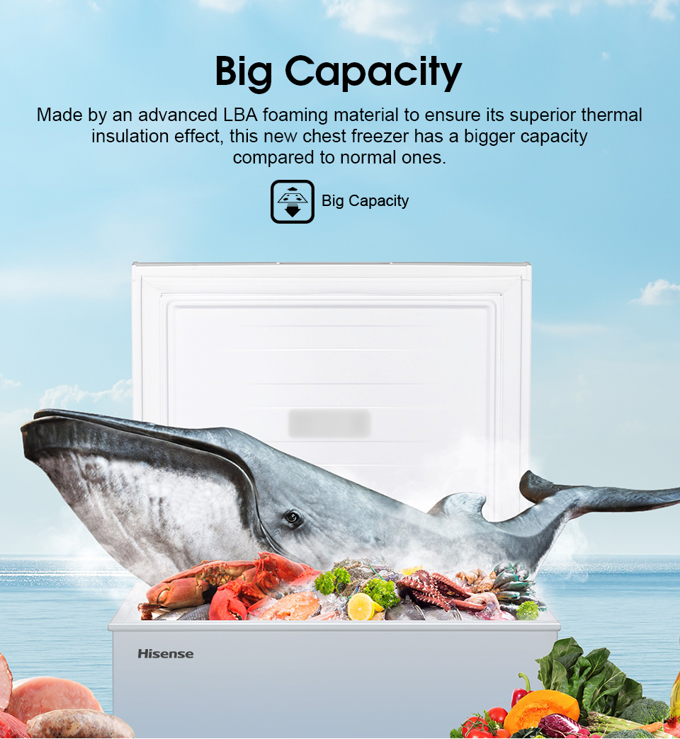 Hisense Chest Freezer 248L Peti Freezer Murah Deep Freezer Mini Peti ...