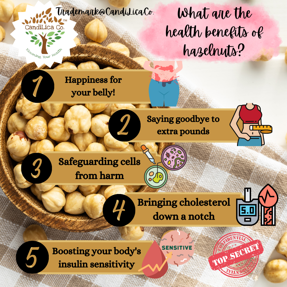 CandiLica Co. Premium Imported Whole Hazelnuts Blanched Skinless ...