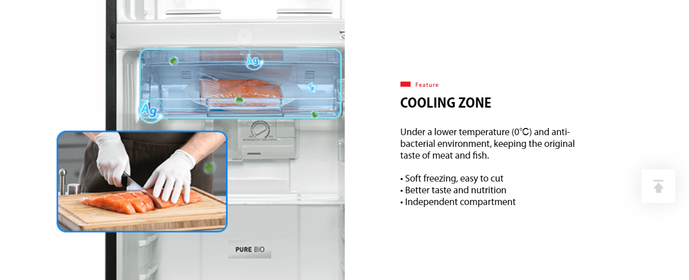 Toshiba 2 Doors Inverter 5 Star Refrigerator (220L/270L/310L) GR ...