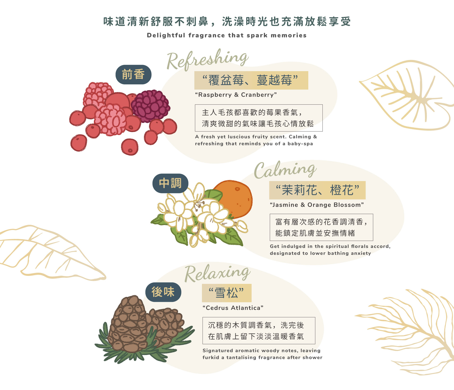 Maoup Maowash Pet Shampoo Pet Conditional毛起来洗护系列 | Shopee Malaysia