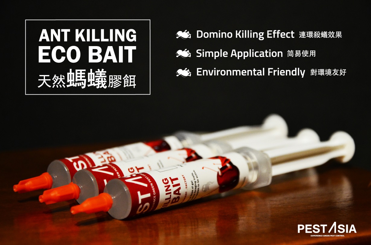 PEST ASIA ubat ant killer bait cockroach killer cicak racun cicak racun ...