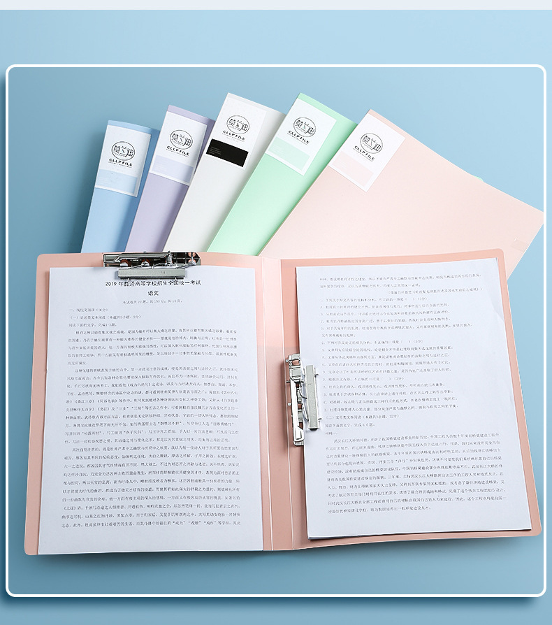 A4 Double Clip File Morandi Management File Document File Holder with 2 ...