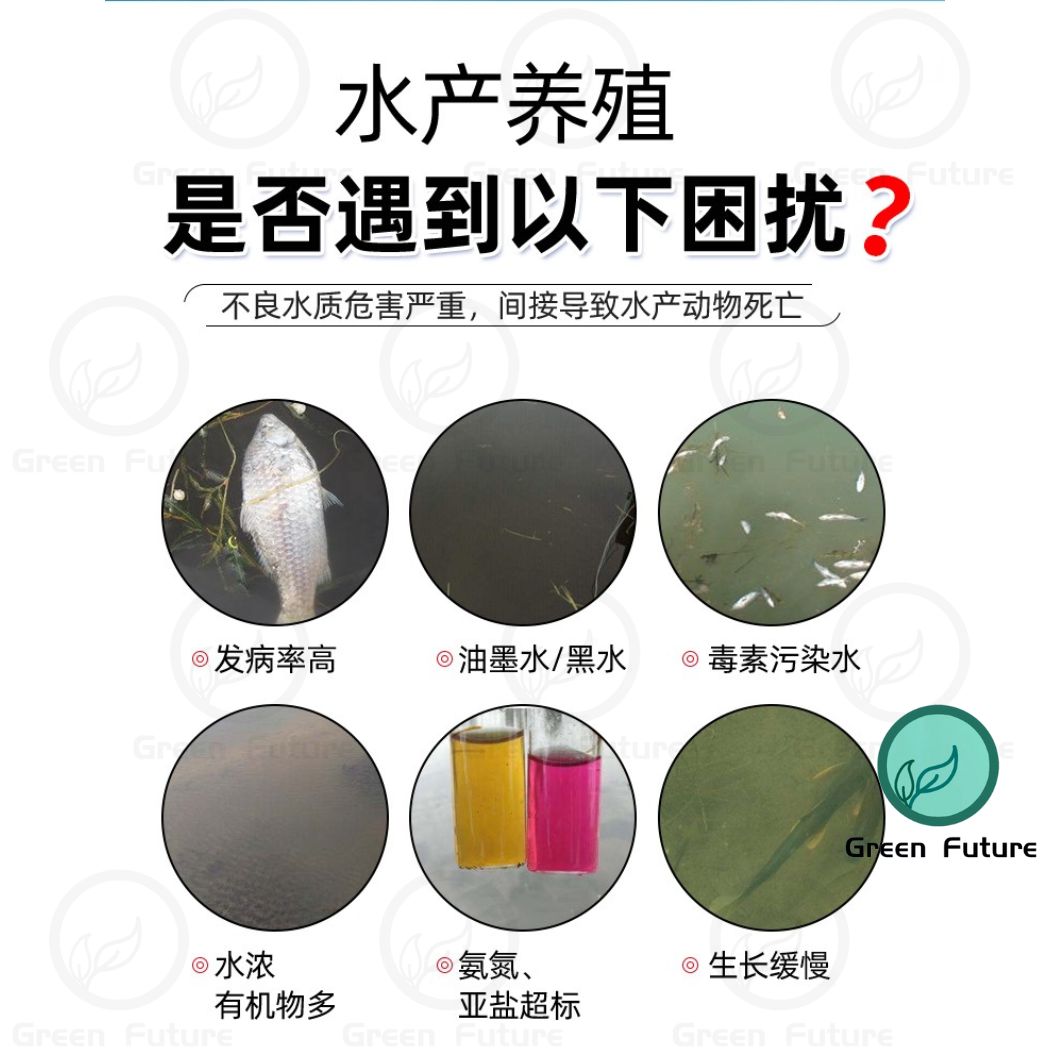 EM 菌 EM Powder Effective microorganism - Powdery (EM益生菌原种) Em ...