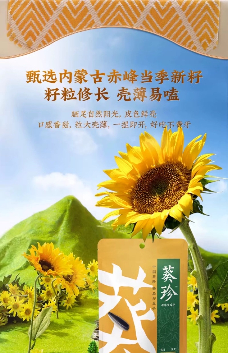 98g ChaCha Jumbo Kuaci Premium Sunflower Seed Roasted with Sea Salt ...