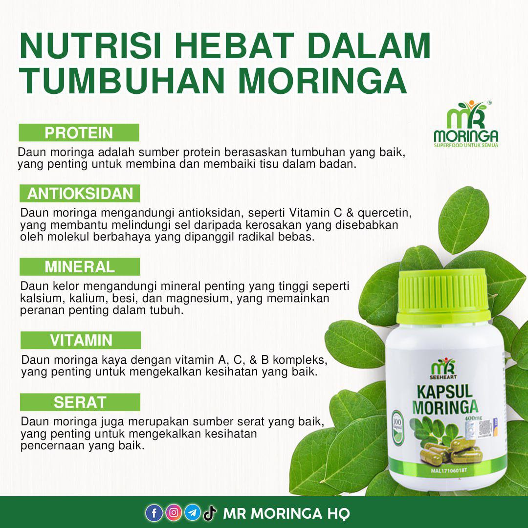 Moringa Oleifera Premium Capsules 60/100 Kapsul 400mg Moringga / Kelor ...