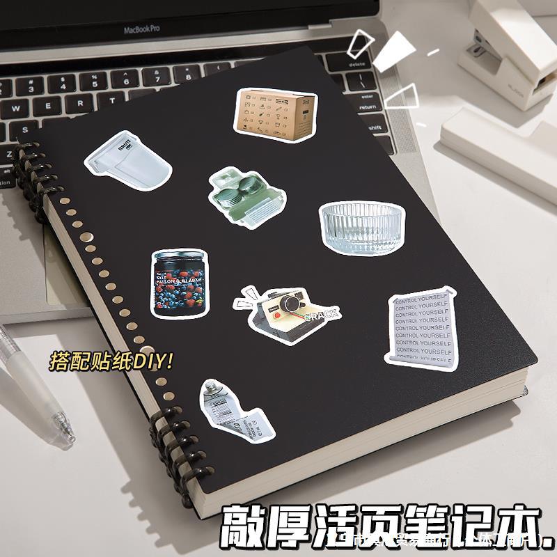Loose Leaf Binder Cover + Ring A5 B5 A4 PP Waterproof Cover DIY Cover ...