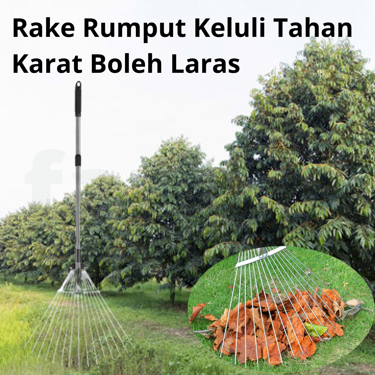 Adjustable Stainless Steel Grass Rake 不锈钢调节搂草耙(榴莲叶子）Cakar Rumput ...