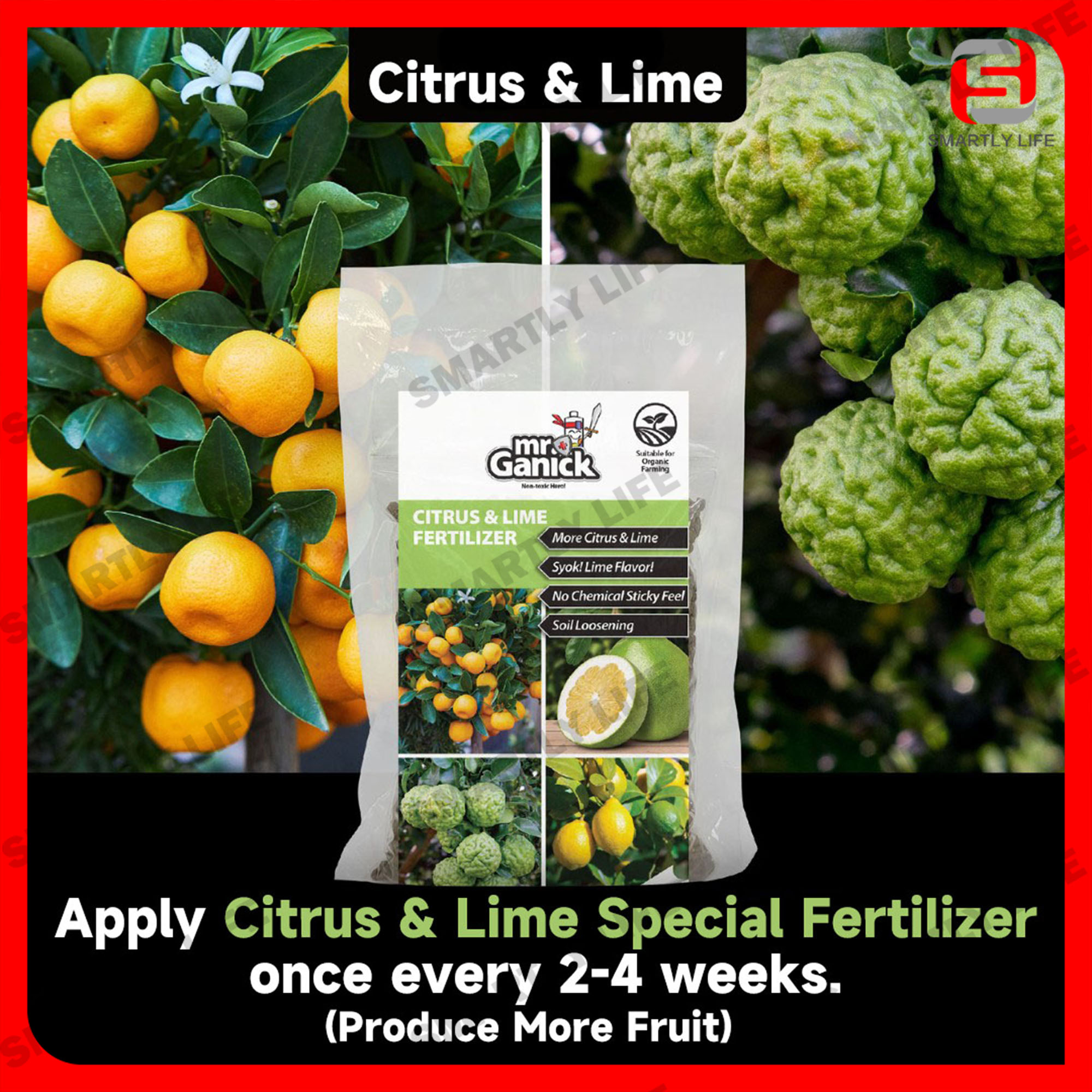 Baba Mr Ganick Citrus & Lime Fertilizer (400G) | Organic Fertilizer ...