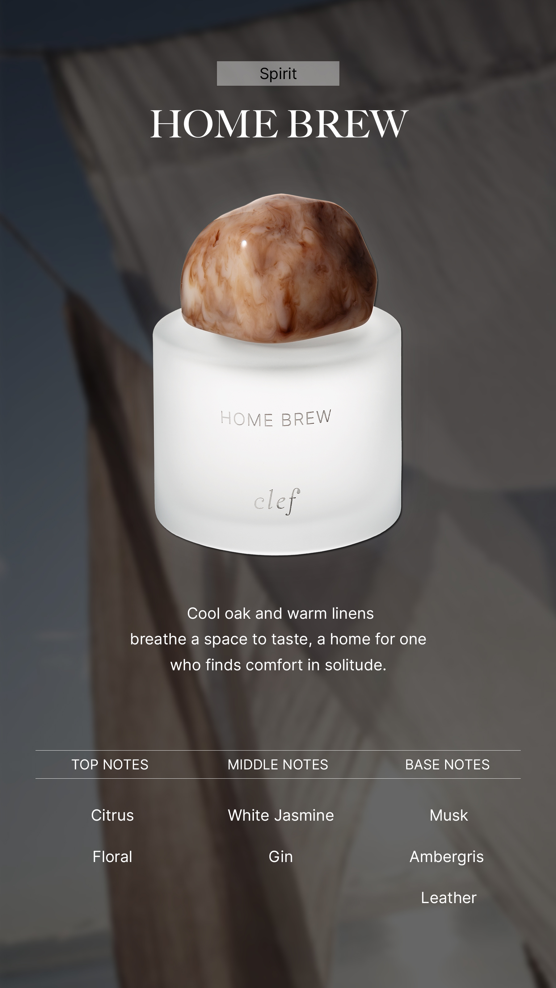 [LONG LASTING] CLEF Fragrance 50ml | Little Delights | Unisex Perfume ...