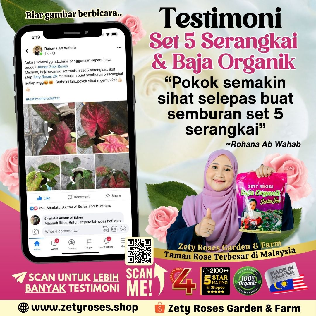 Zety Roses Set 5 Serangkai Perlindungan Komprehensif Penyakit Pokok ...