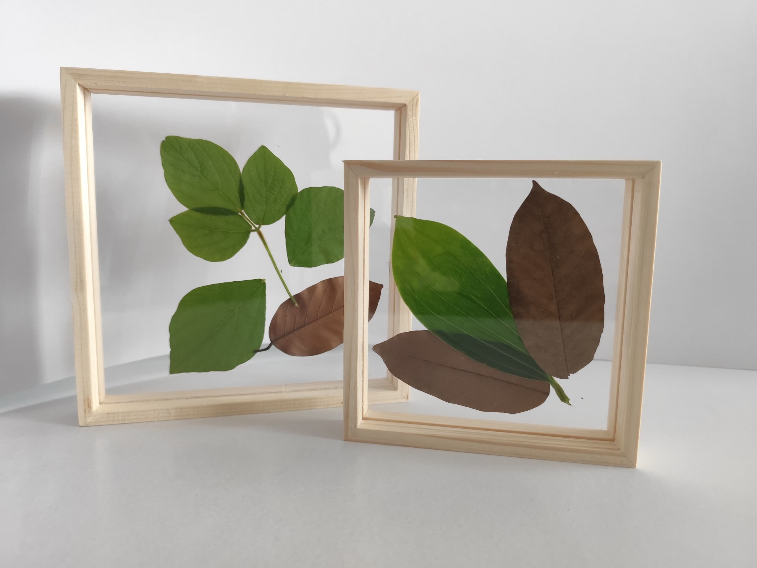 Transparent Frame - Wooden Transparent Photo Frame -Natural Pine wood ...