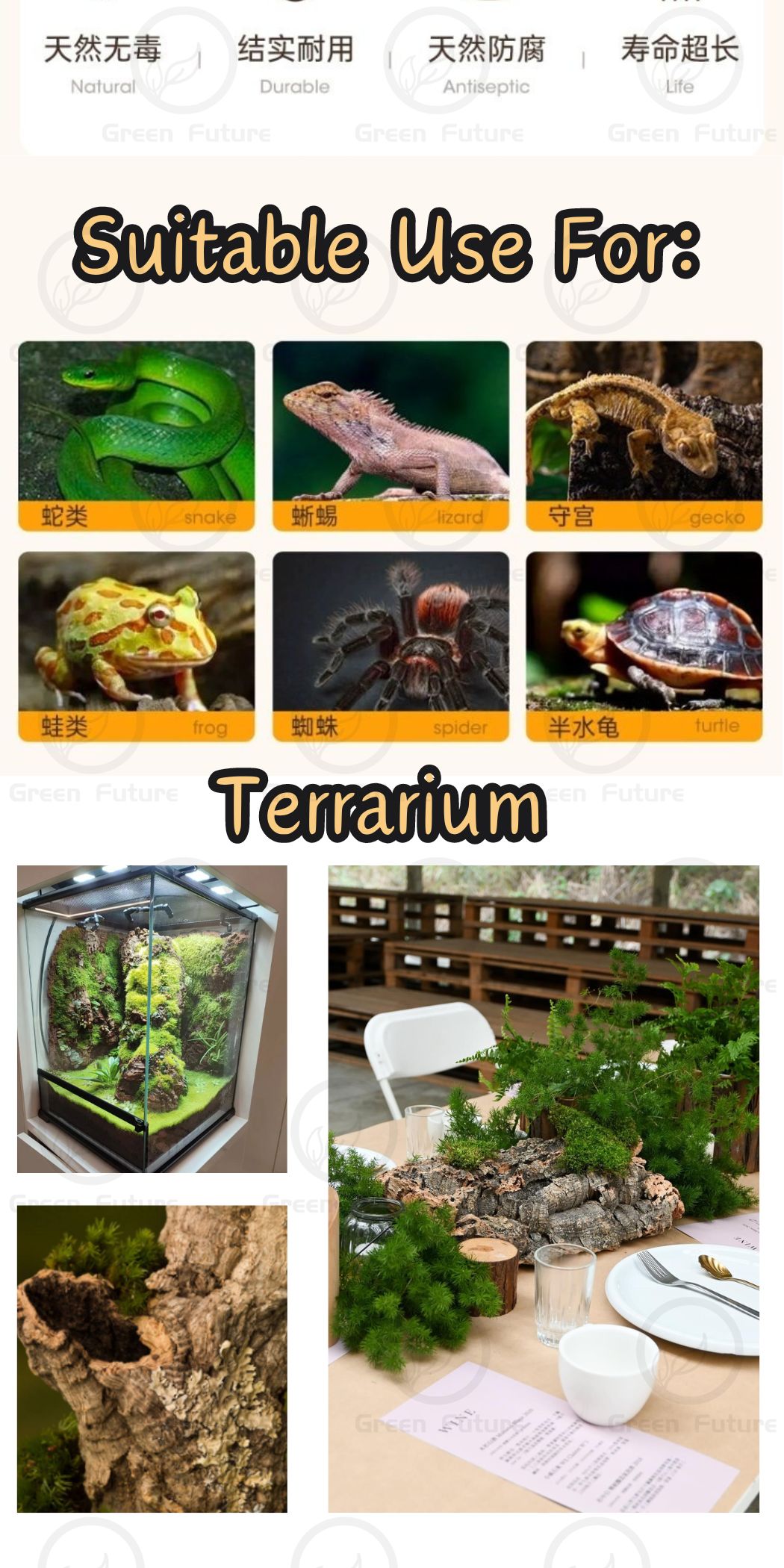 Corkbark CORK BARK Reptile Bark Bedding Cork Habitat Tree Bark Spider ...