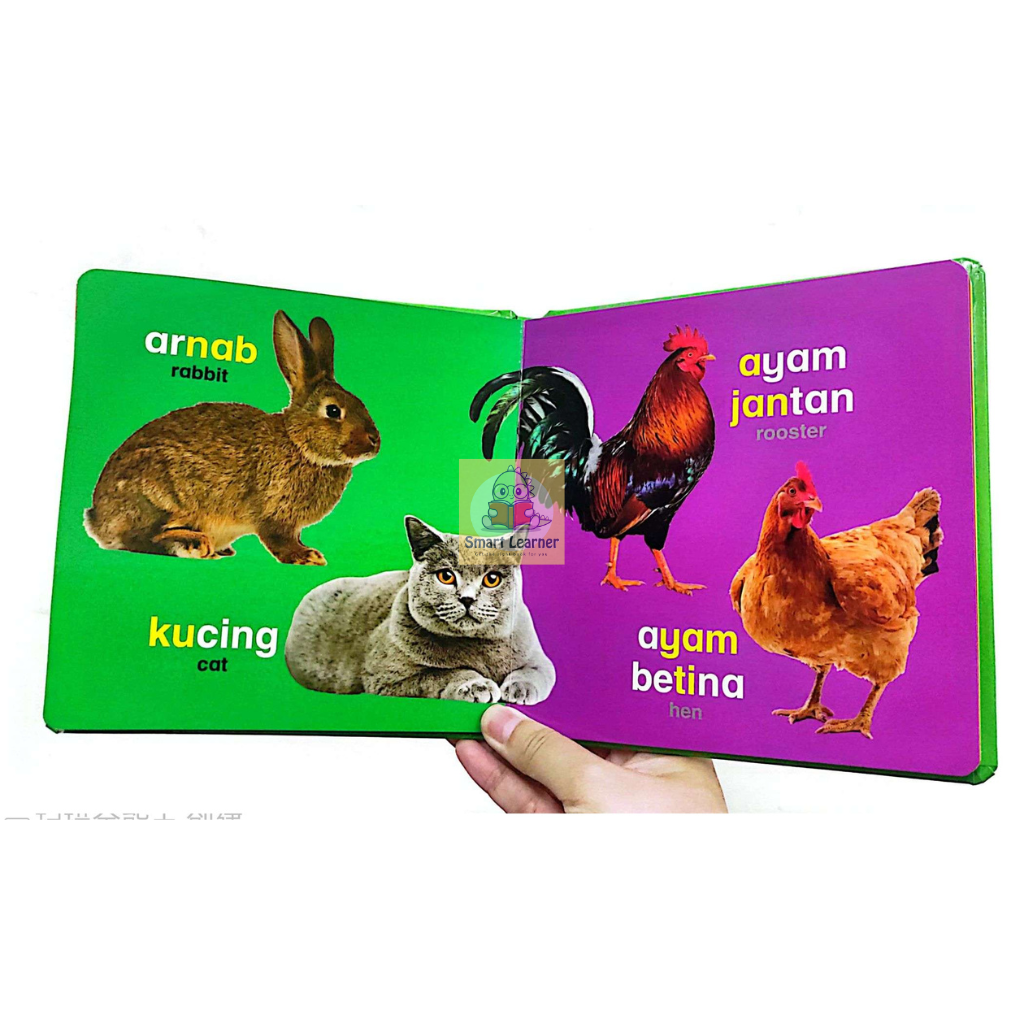[SB] Gembira Belajar Abjad, Nombor, Binatang, Jawi, 100 Perkataan ...