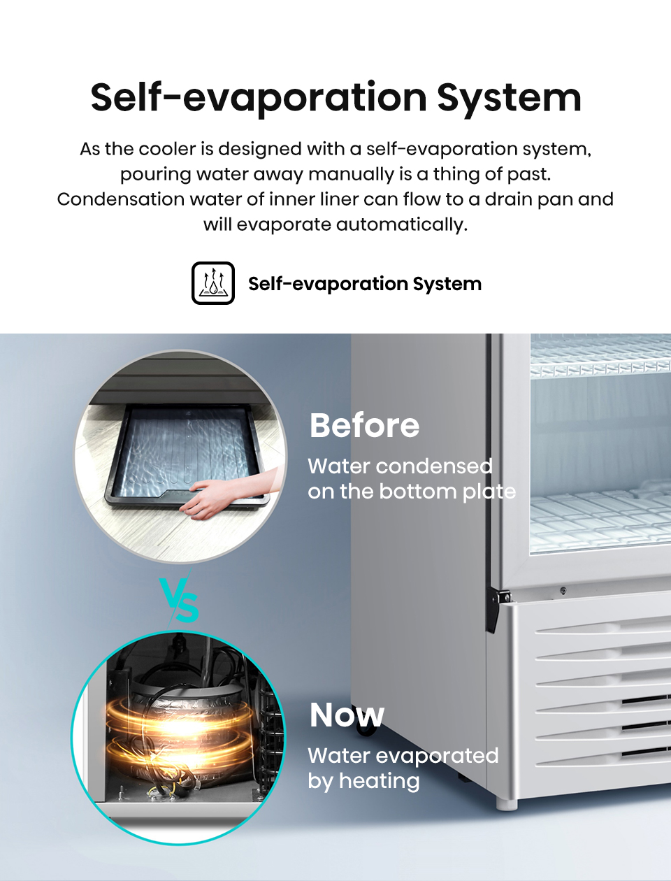 Hisense / MIDEA (187L / 211L / 310L) Showcase Display Chiller ...