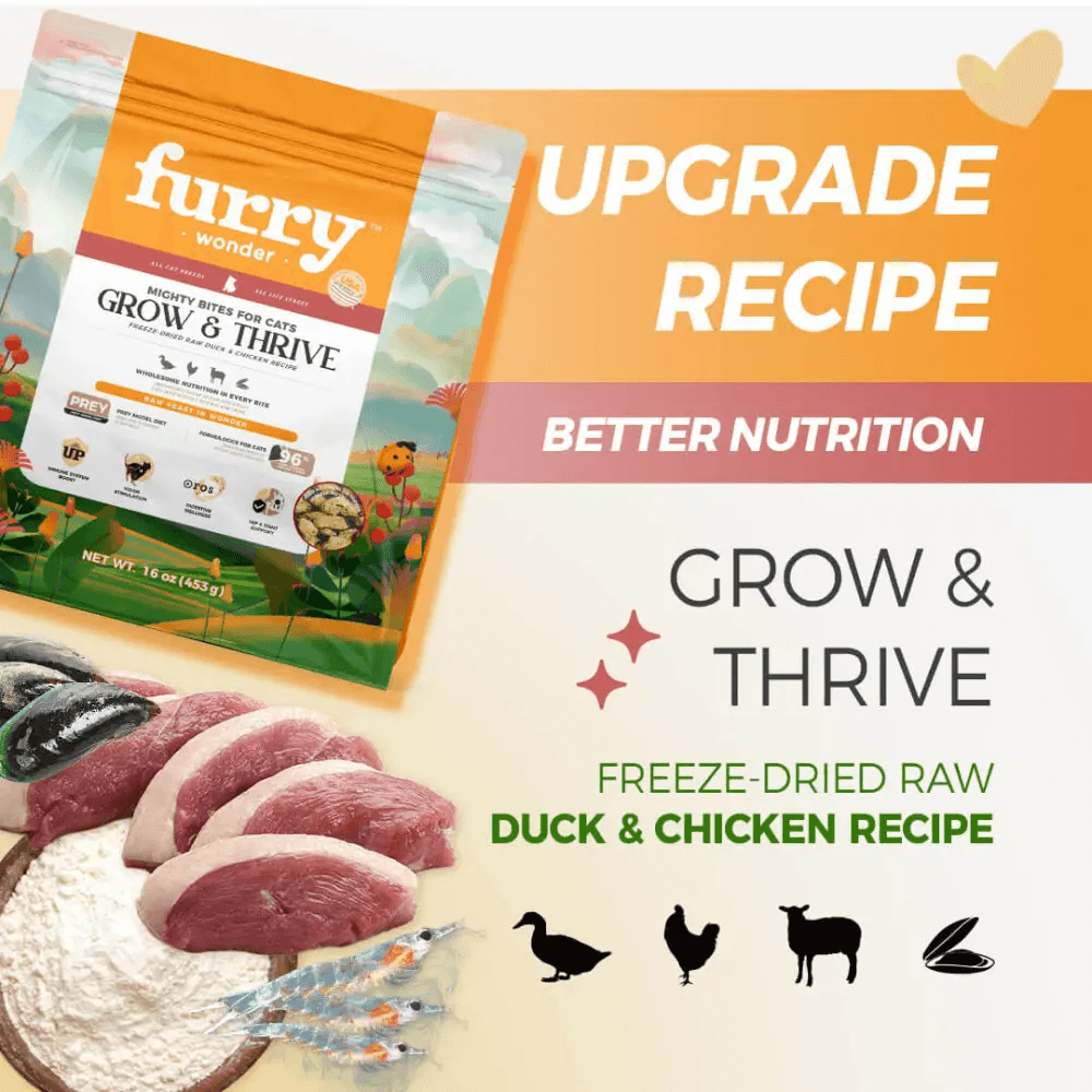 FURRY WONDER 226g Freeze-Dried Raw for Cats (Chicken/ Rabbit/ Duck ...