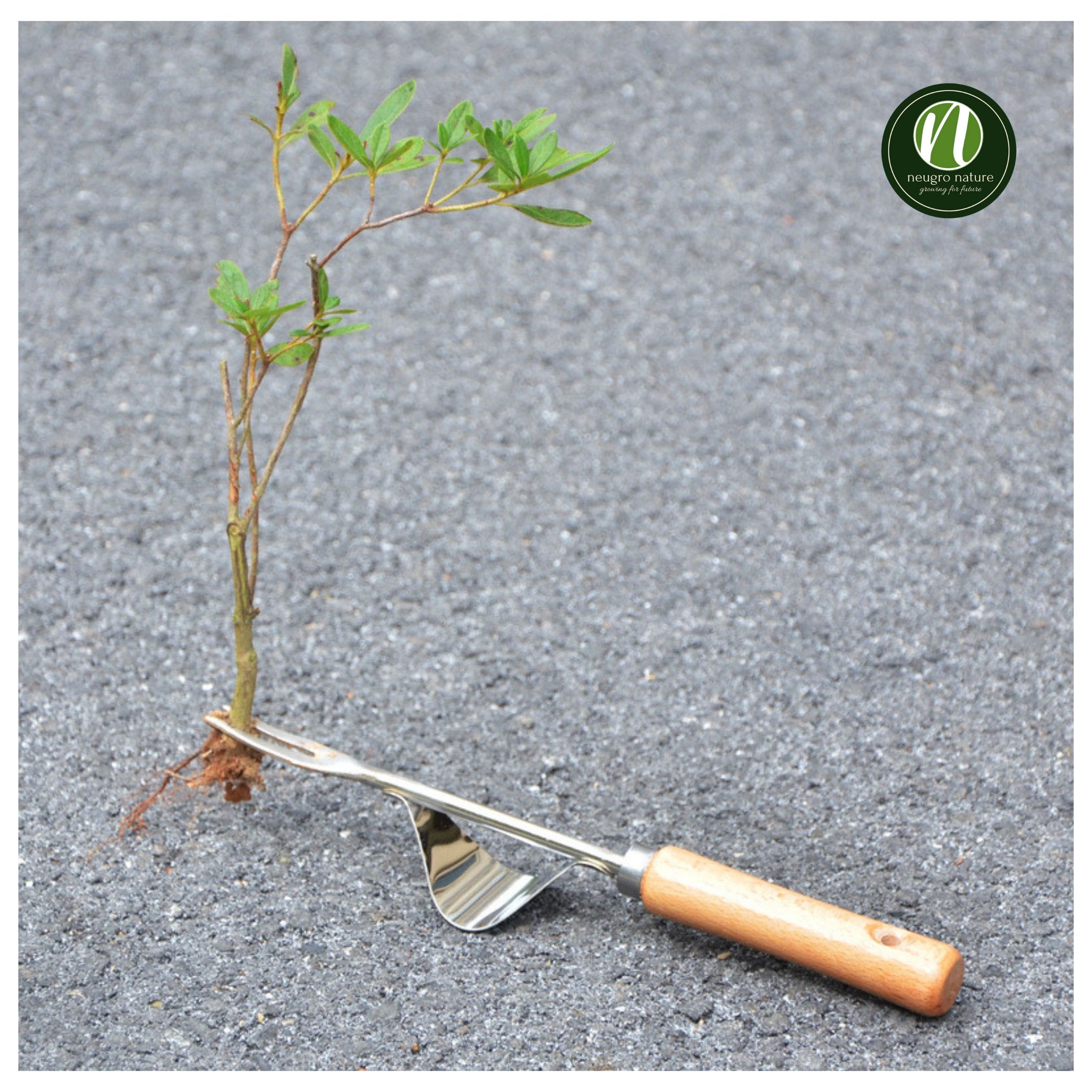 Neugro Root Weed Removal Tool / Alat Pembuang Akar Mencabut Alat ...